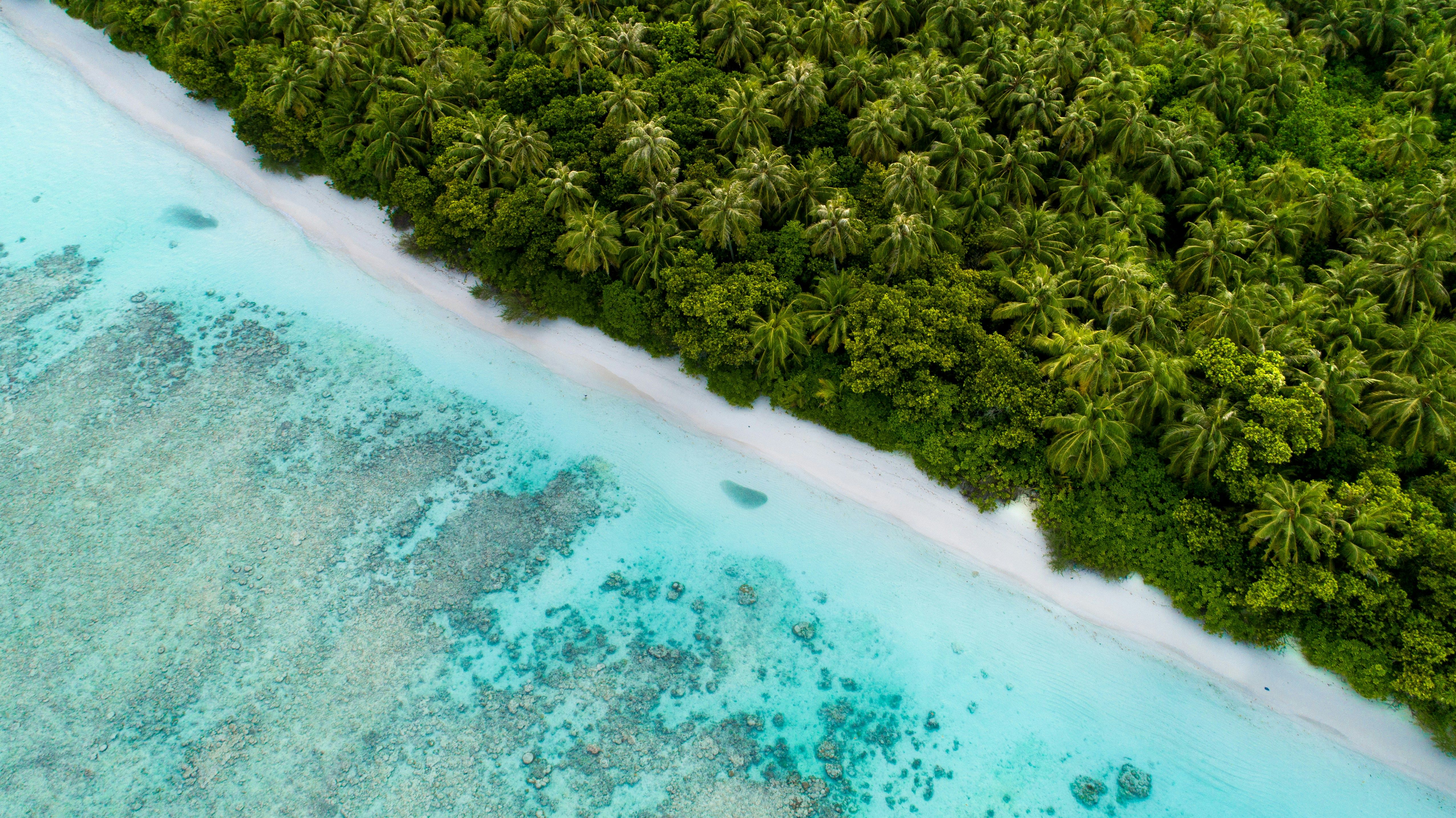 The Complete Guide to Visiting Local Islands in the Maldives - Budget ...