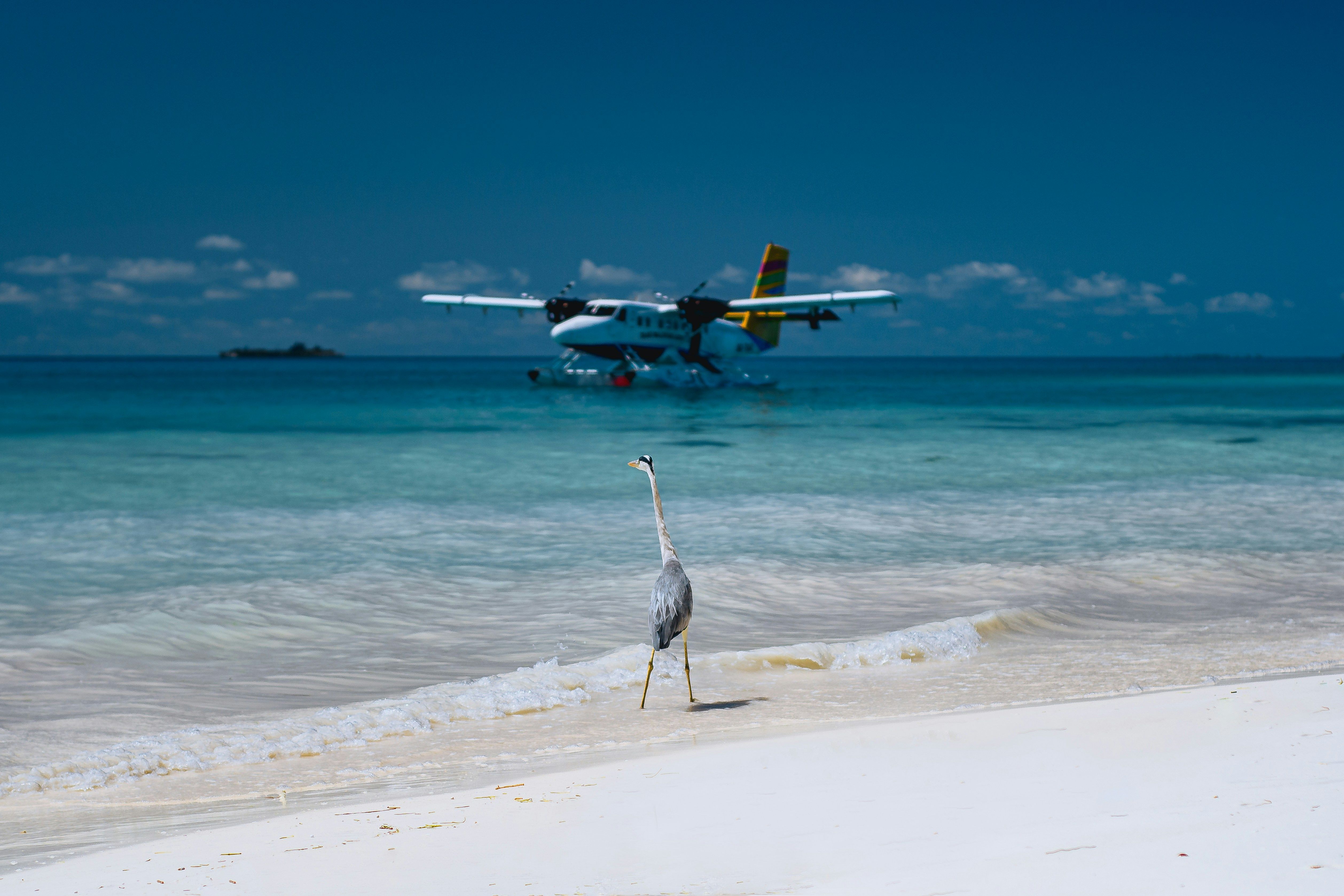 The Complete Guide to Maldives Transportation Options - Your Essential ...